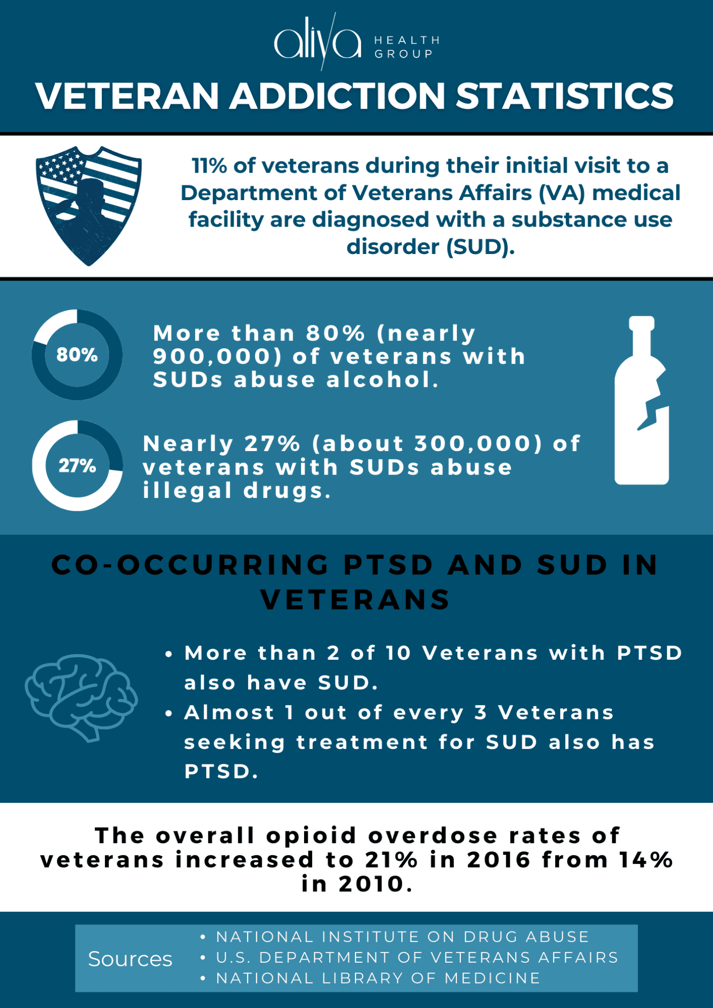 Addiction and Mental Health Resources for Veterans | Rehab