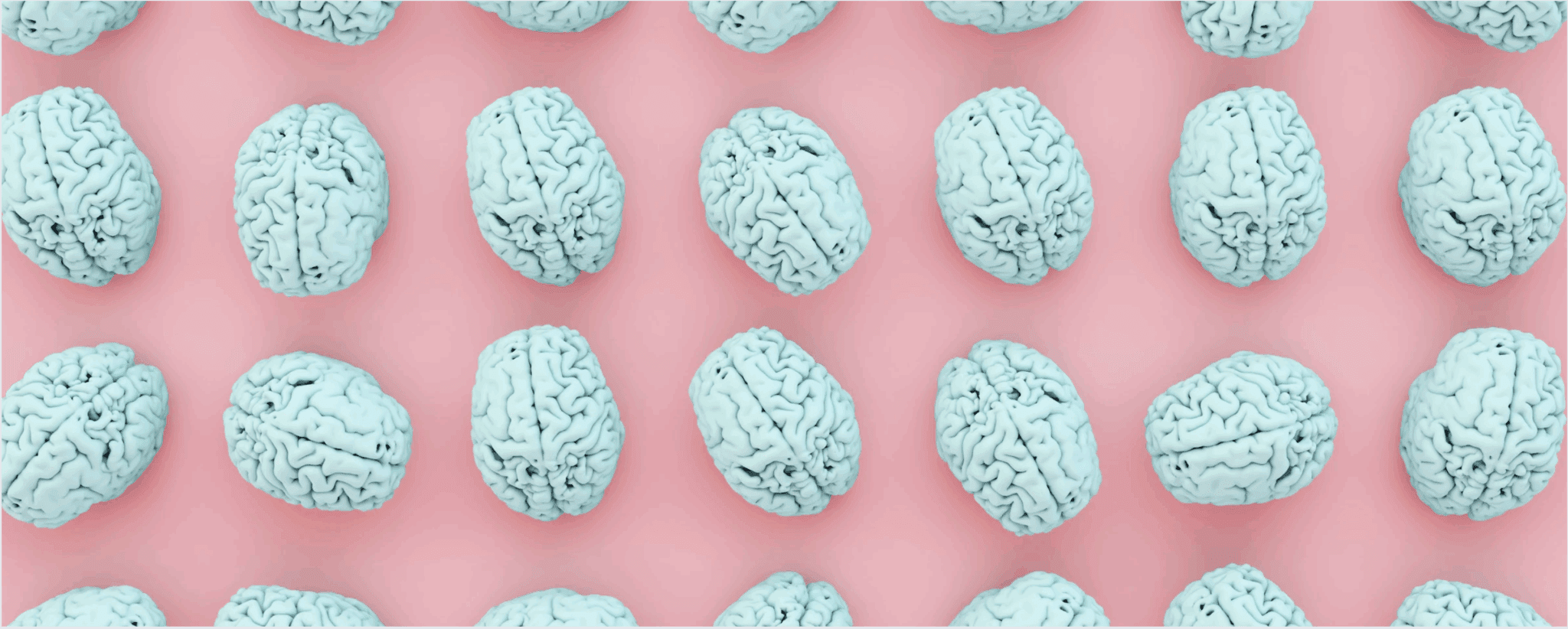 How Do Drugs of Addiction Affect the Limbic System? | Rehab